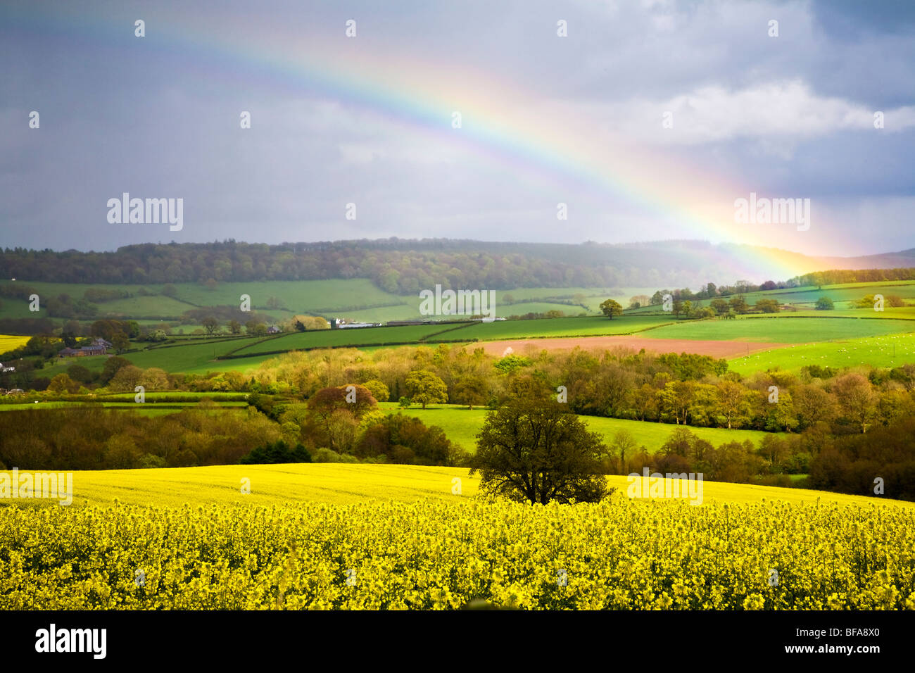 Rainbow over fields, countryside Stock Photo - Alamy