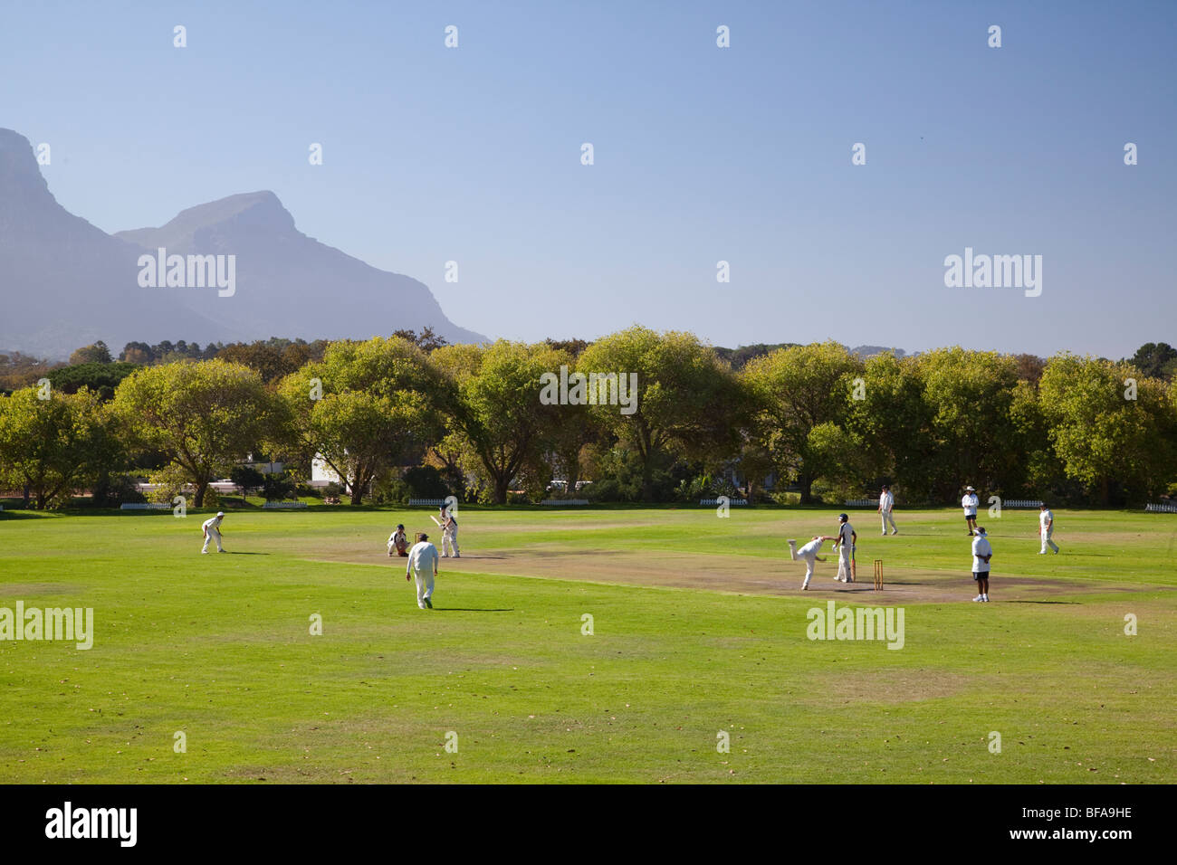 A local cricket game in the wine-growing region of Constantia, near ...