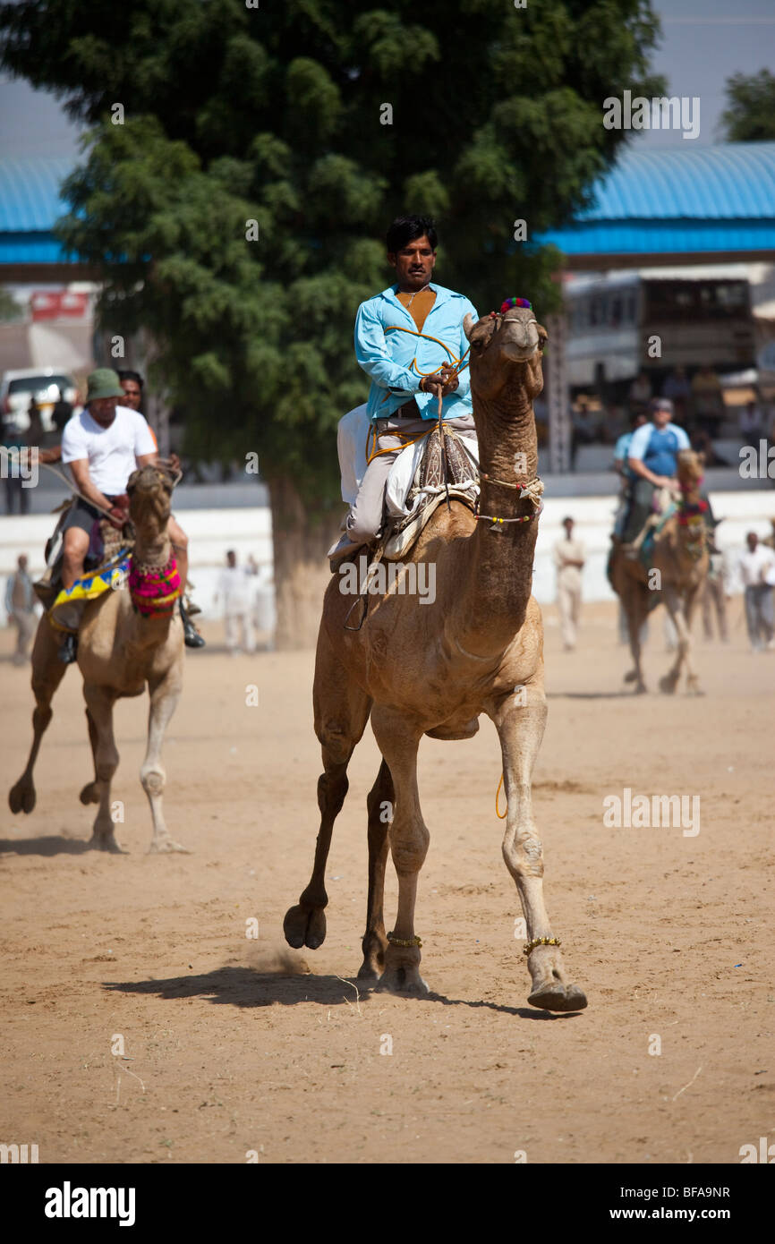 Racing Camel High Resolution Stock Photography and Images - Alamy