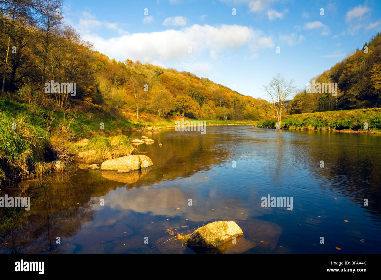 Walking in the Wye Valley,along the River Wye,when the beautiful rich ...