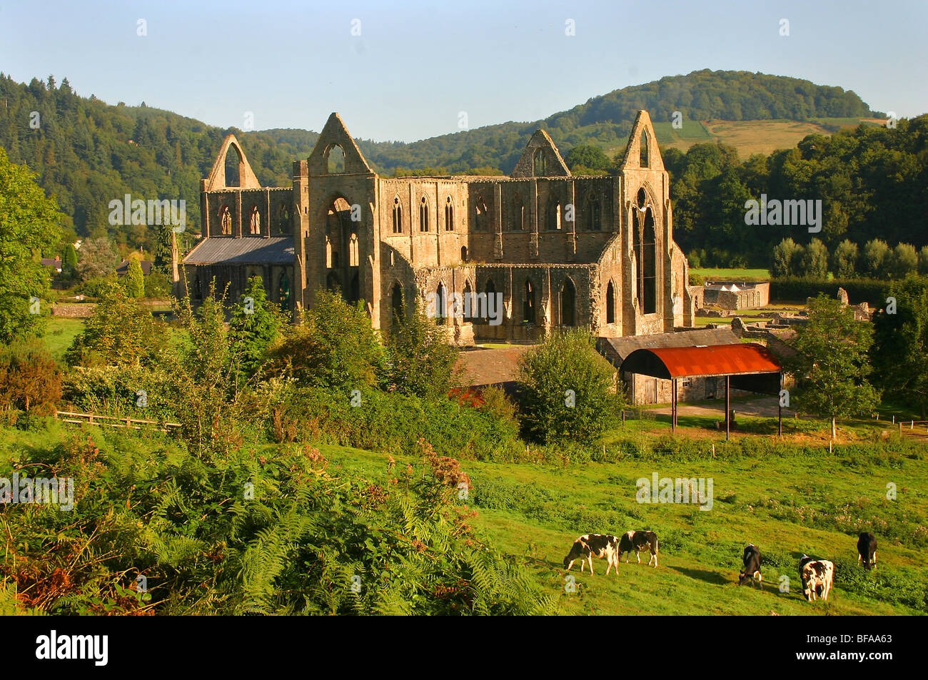 Tintern abbey hi-res stock photography and images - Alamy