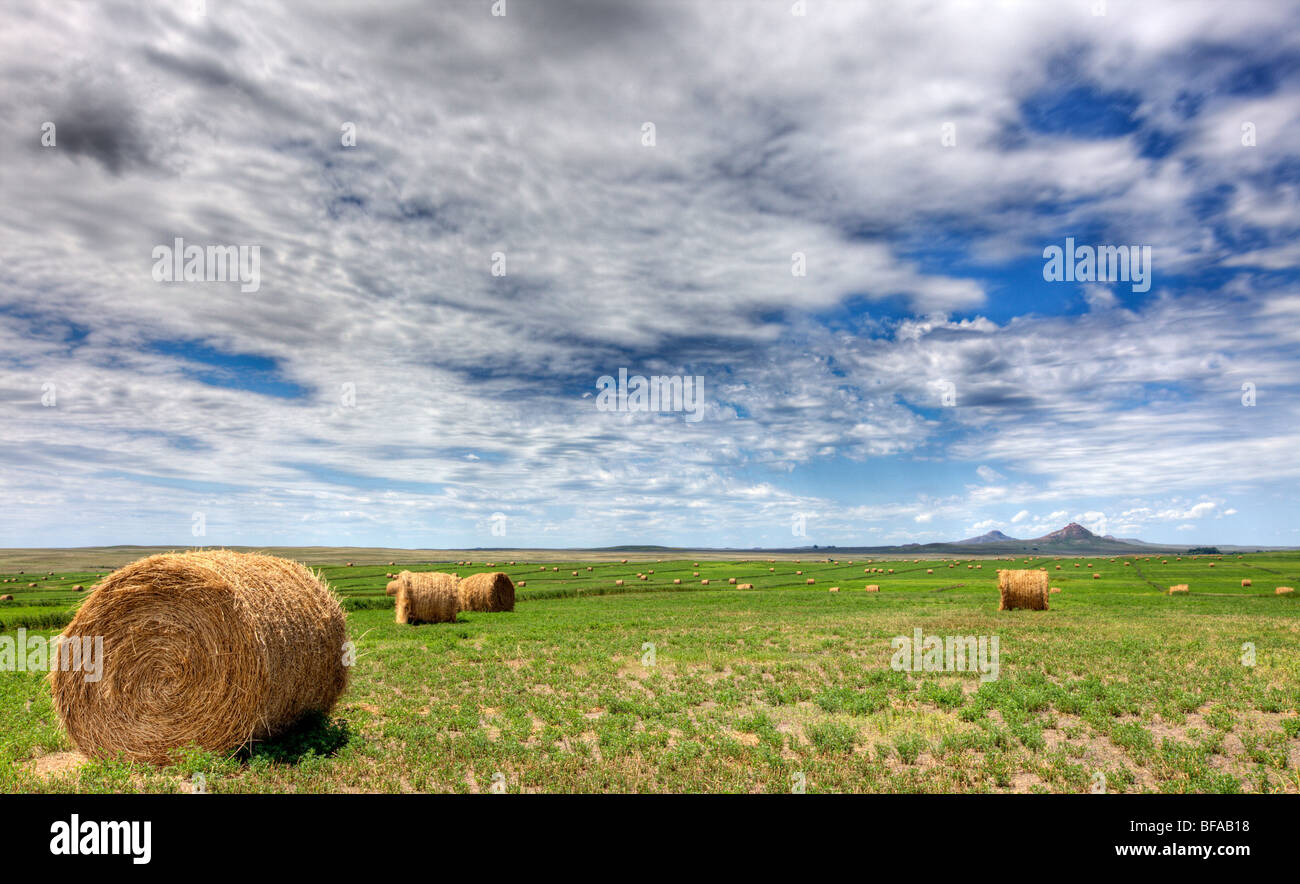 North dakota farm hi-res stock photography and images - Alamy