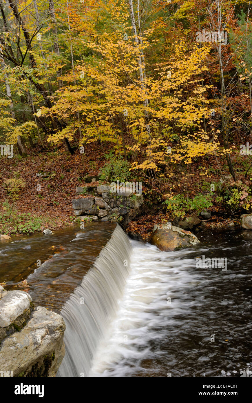 weir and mill and colorful fall foliage in North Adams, Massachusetts ...
