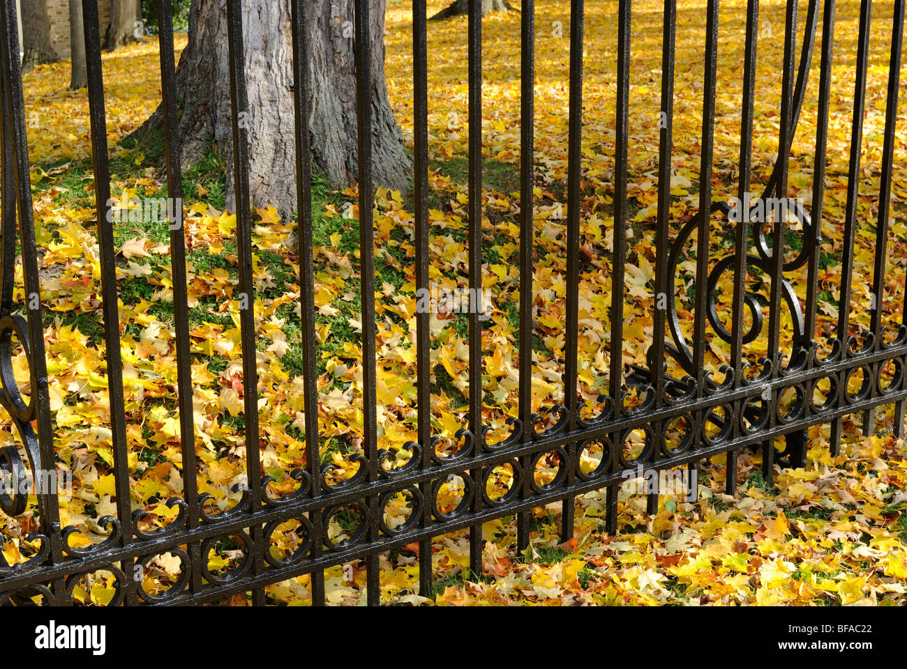 Fall foliage and iron fence in downtown Cooperstown, New York Stock ...
