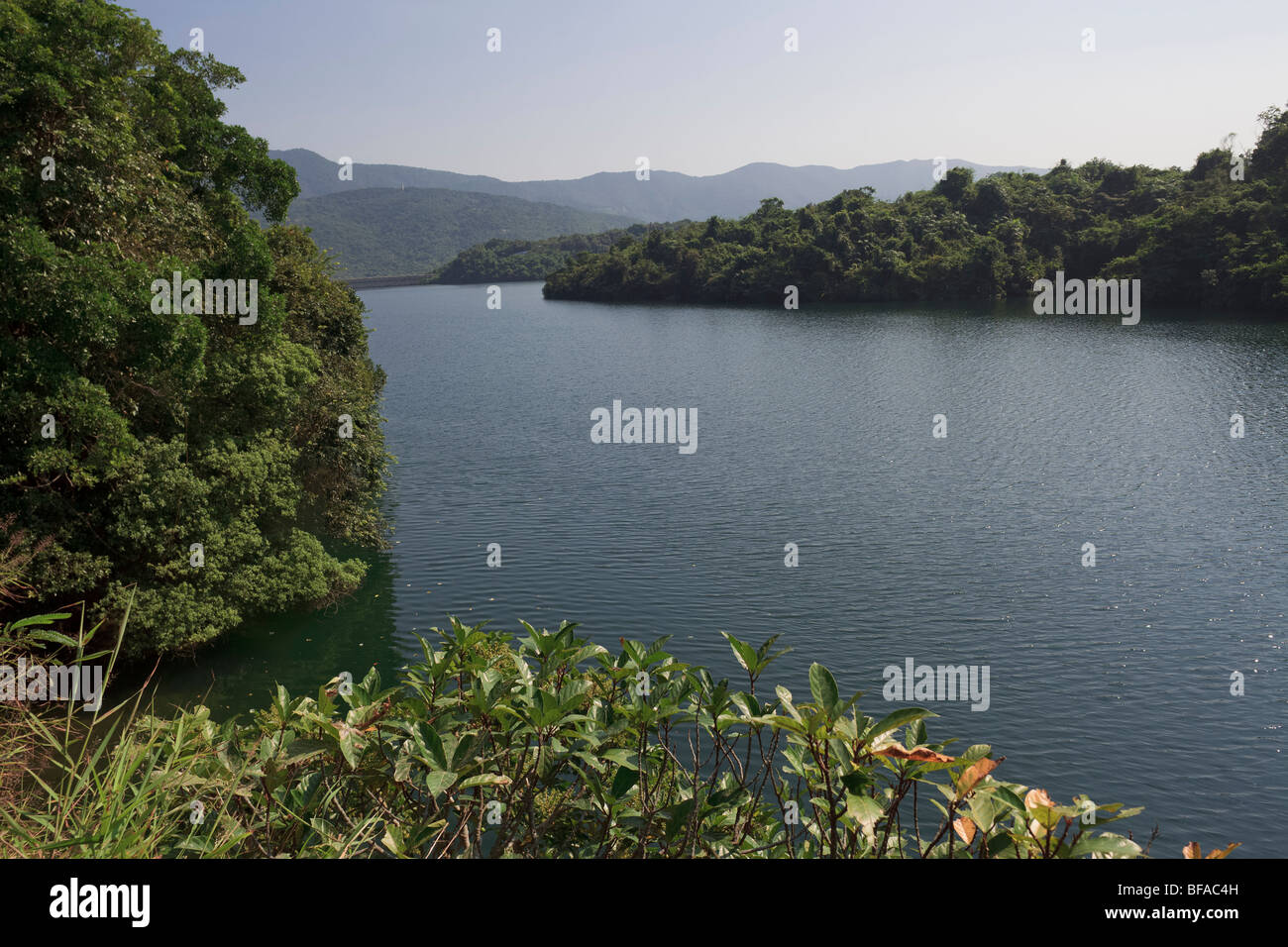 Tai Tam Country Park in Hong Kong Stock Photo - Alamy