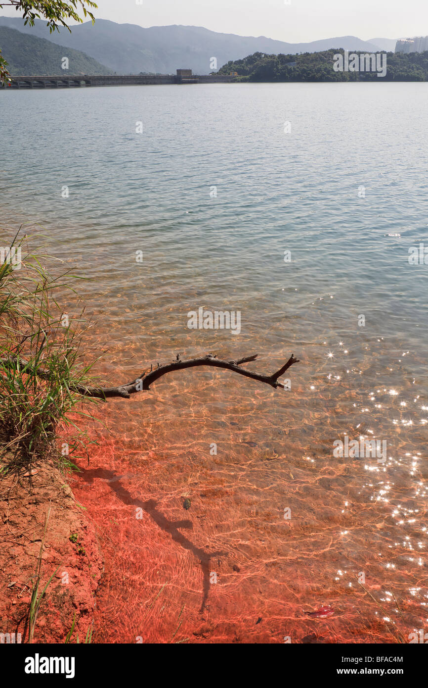 Tai Tam Country Park in Hong Kong Stock Photo - Alamy