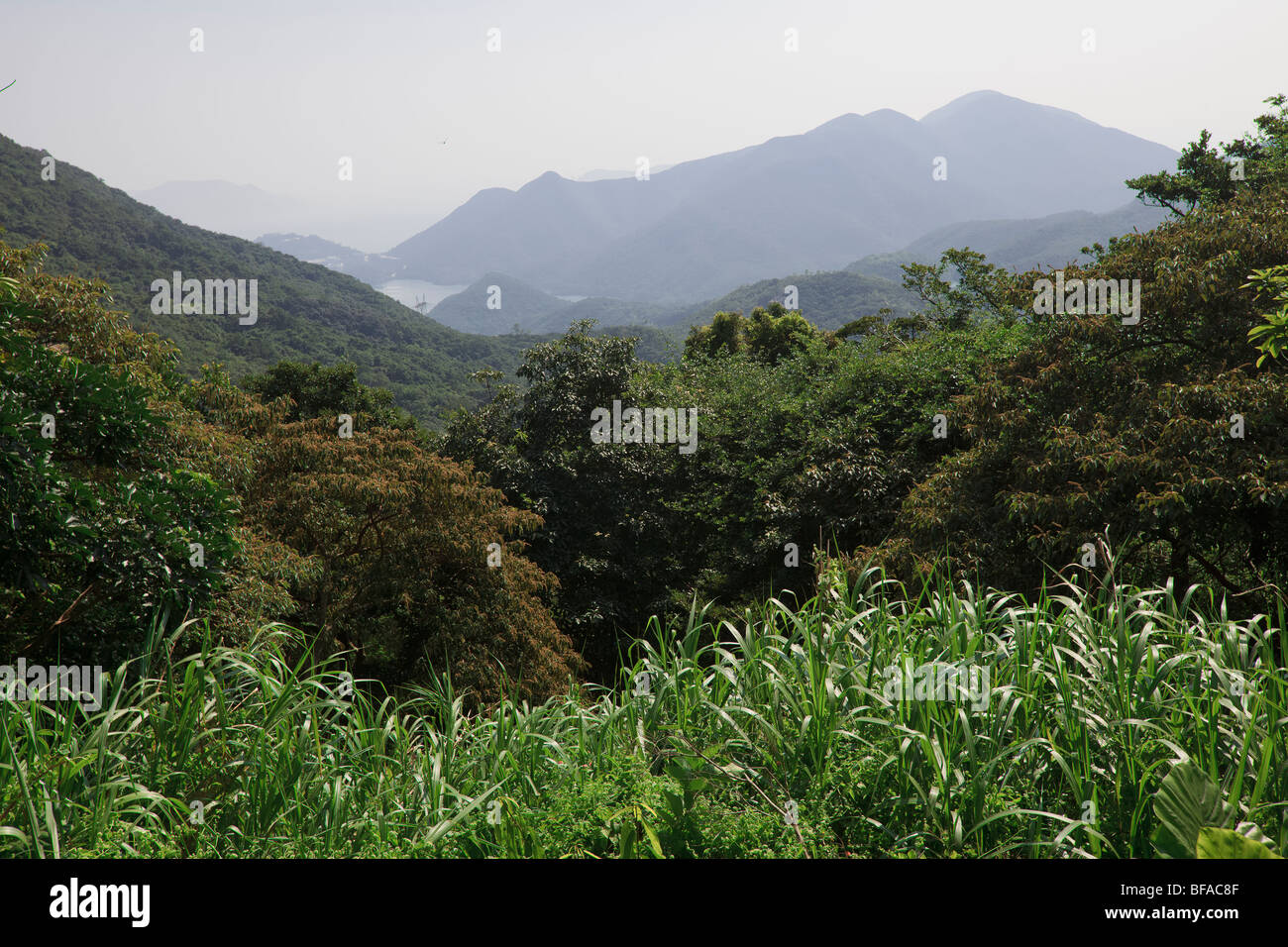 Tai Tam Country Park in Hong Kong Stock Photo - Alamy