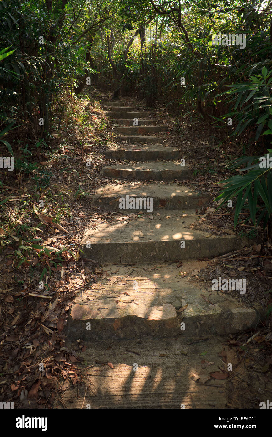 A stepped footpath in Tai Tam Country Park in Hong Kong Stock Photo - Alamy