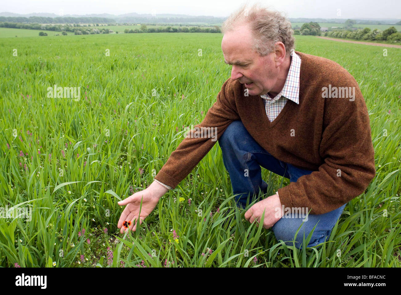 Farmer Henry Edmunds on his 1000 acre Cholderton Estate, Wiltshire ...