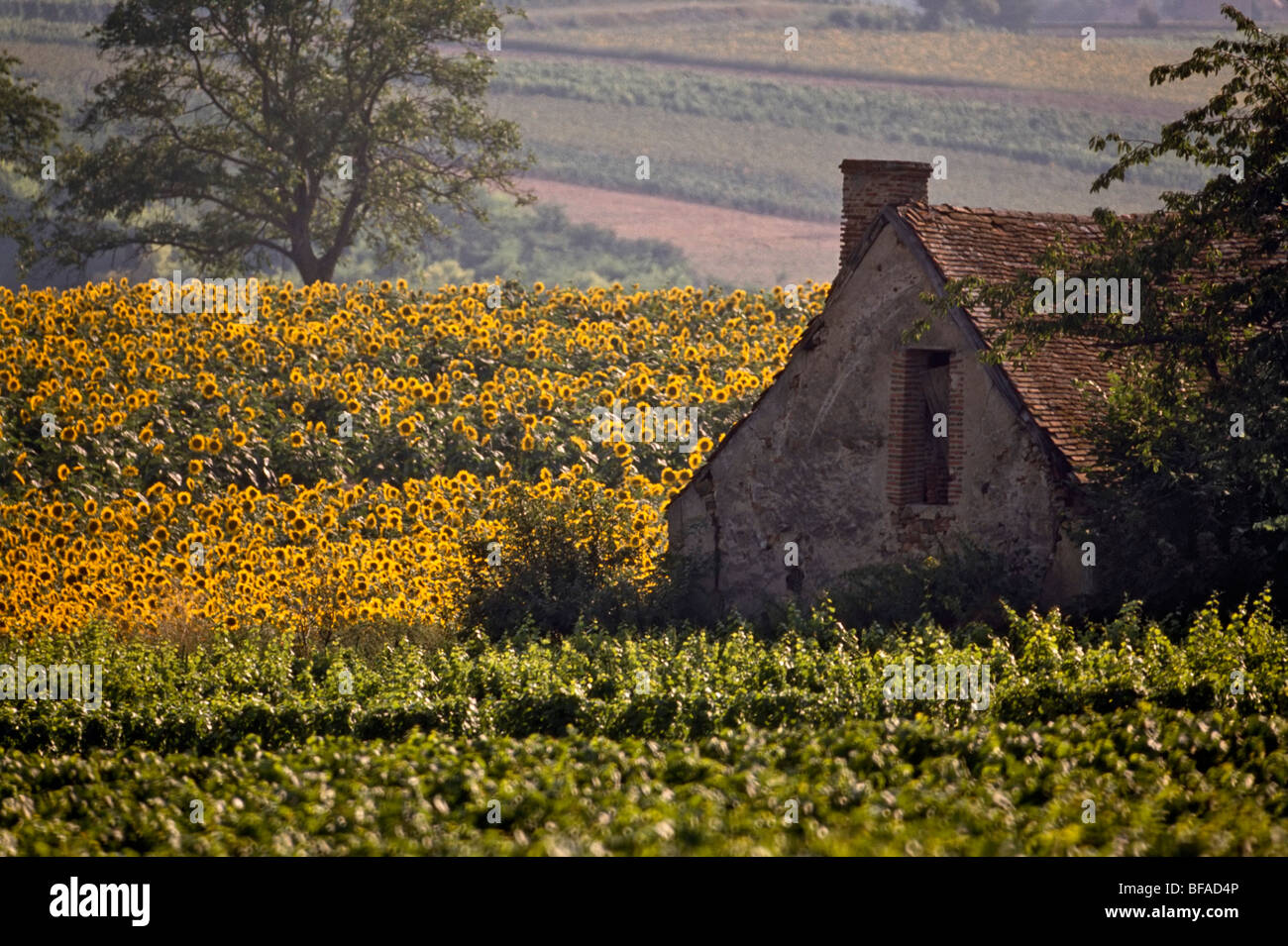 Old french barns hi-res stock photography and images - Alamy