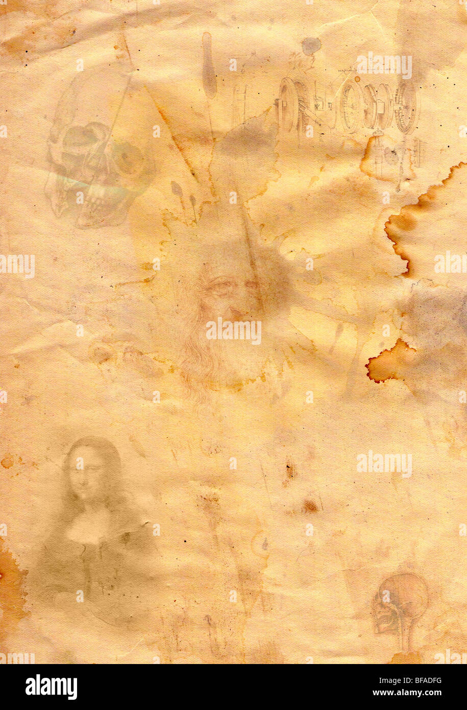 Vinci drawing hi-res stock photography and images - Alamy