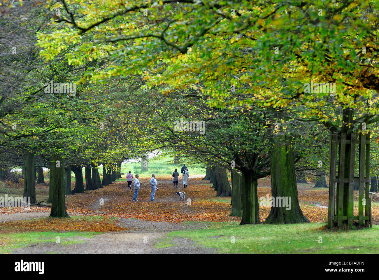 People strolling in park Stock Photo - Alamy