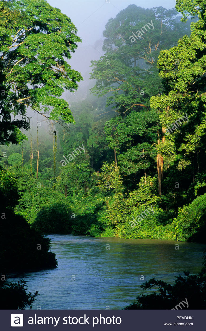 Danum Stock Photos & Danum Stock Images - Alamy