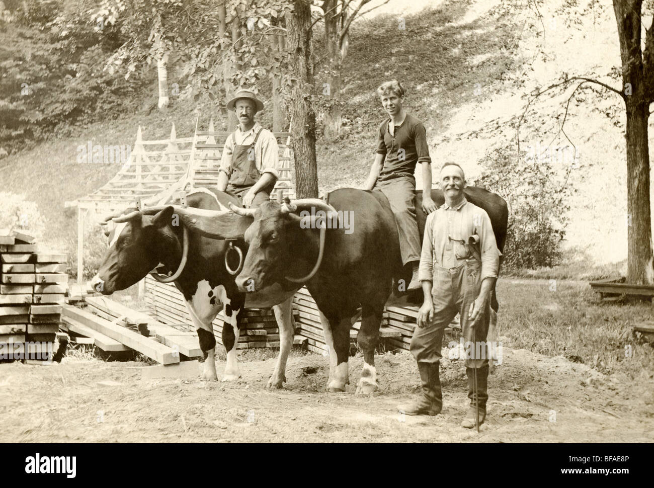 Men And Cows High Resolution Stock Photography and Images - Alamy