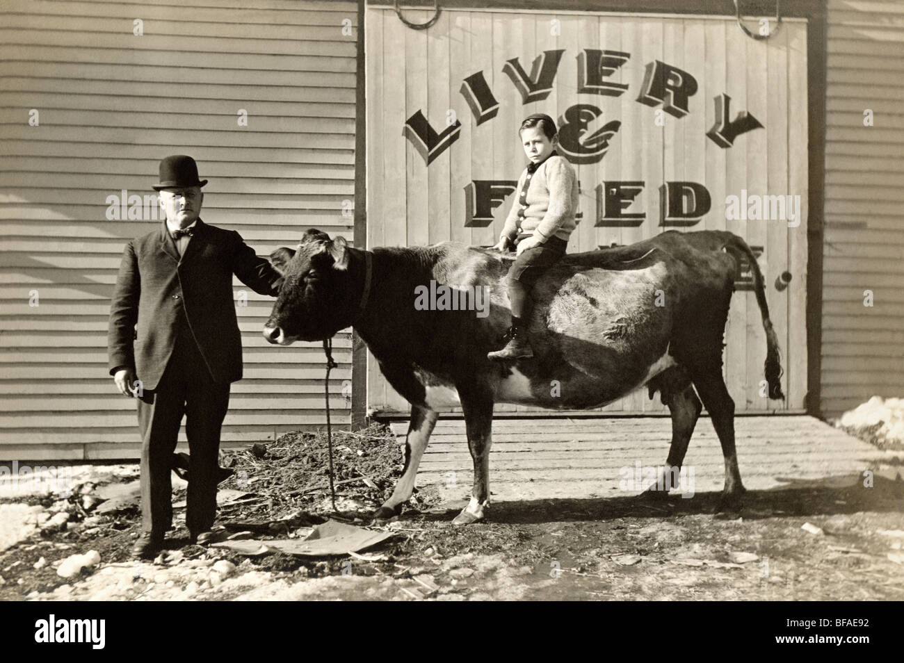 Boy Riding Cow at Livery Store Stock Photo - Alamy