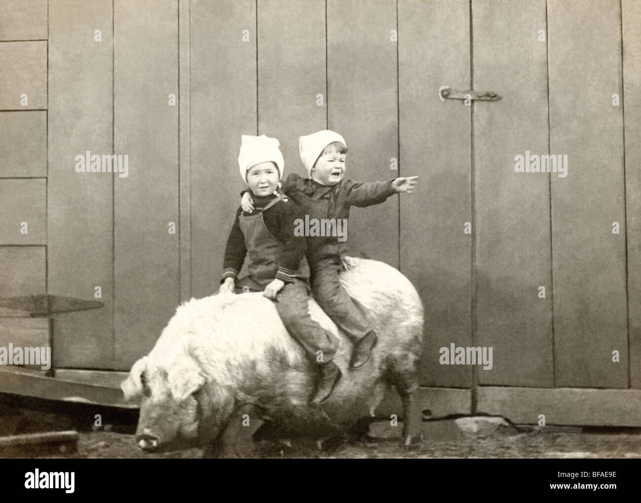 Twin Brothers Riding a Fat Pig Stock Photo - Alamy