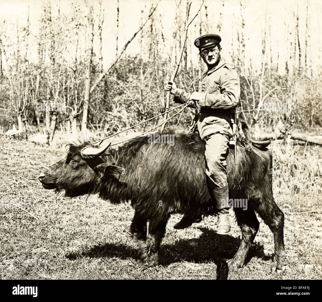 Riding soldier hi-res stock photography and images - Alamy