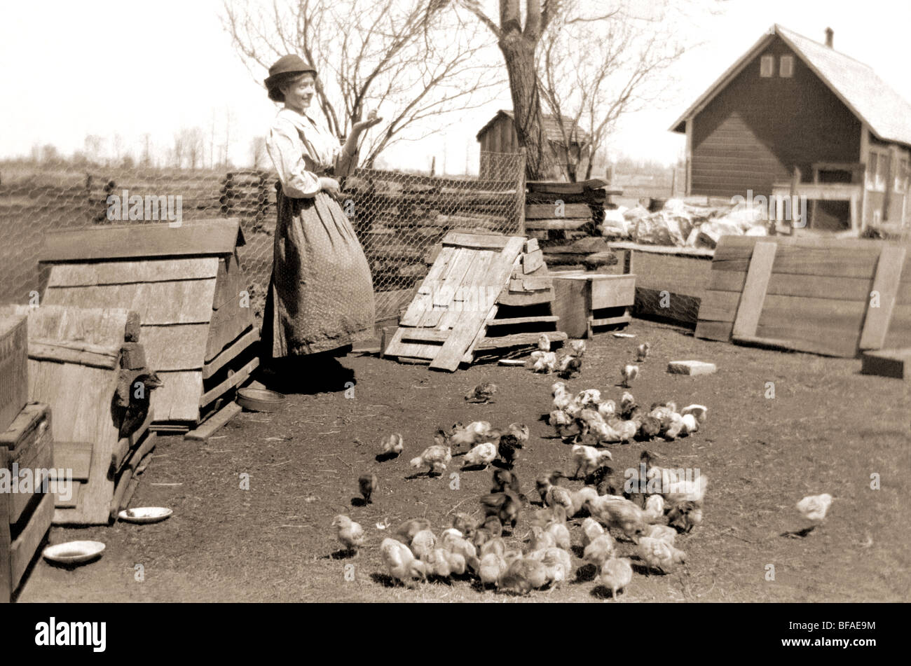 Farm 1900s hi-res stock photography and images - Alamy