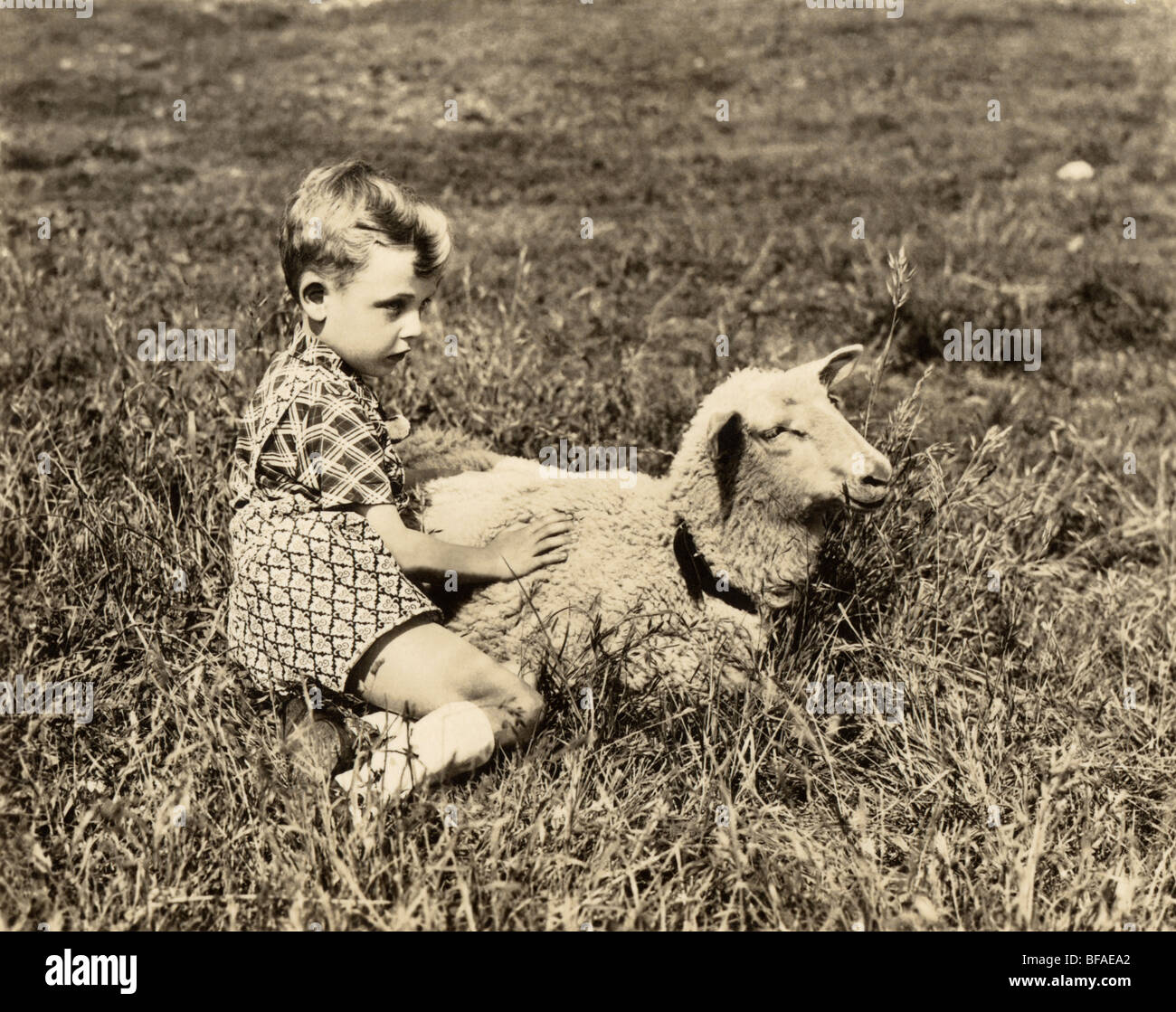Boy Holding Lamb in Pasture Stock Photo - Alamy