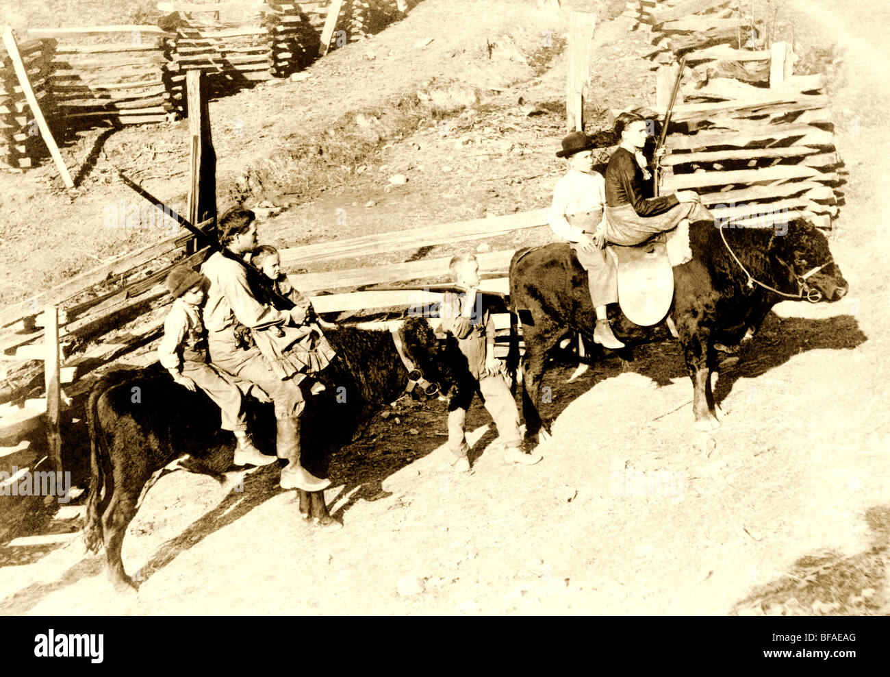 Family Riding Cattle Stock Photo - Alamy