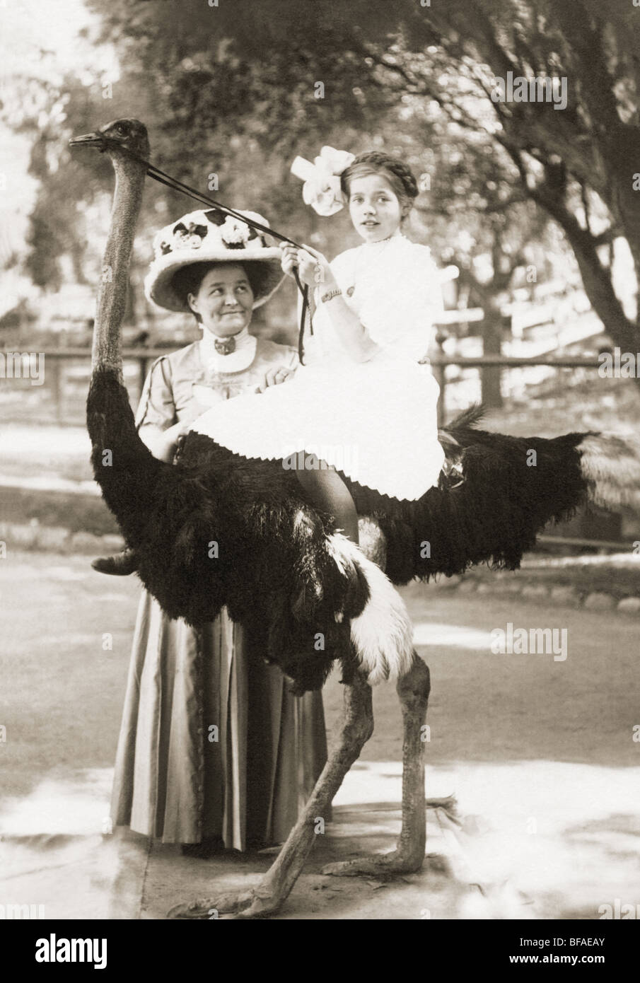Mother with Daughter Riding an Ostrich Stock Photo - Alamy