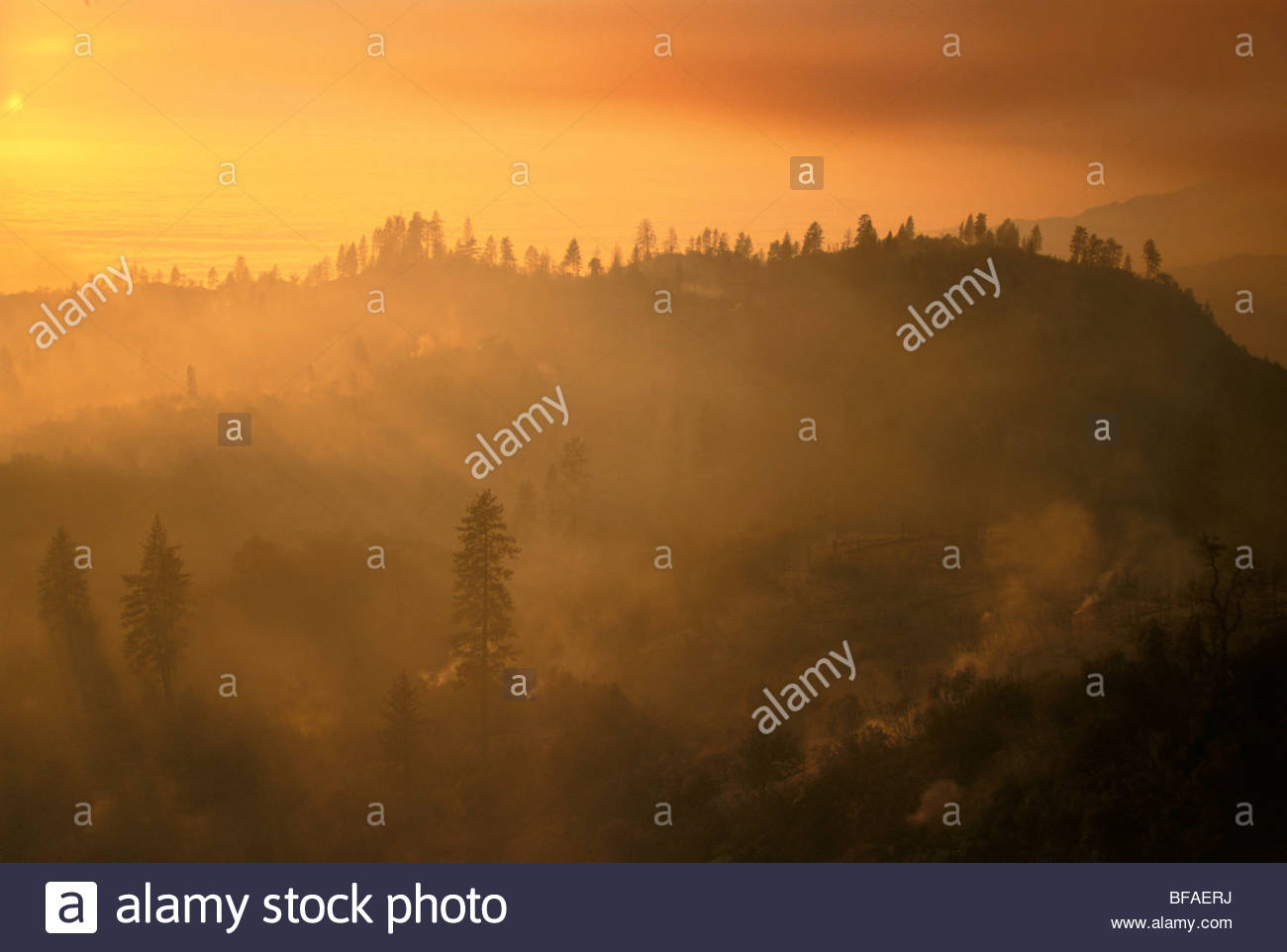 Forest Fire Aerial Stock Photos & Forest Fire Aerial Stock Images - Alamy
