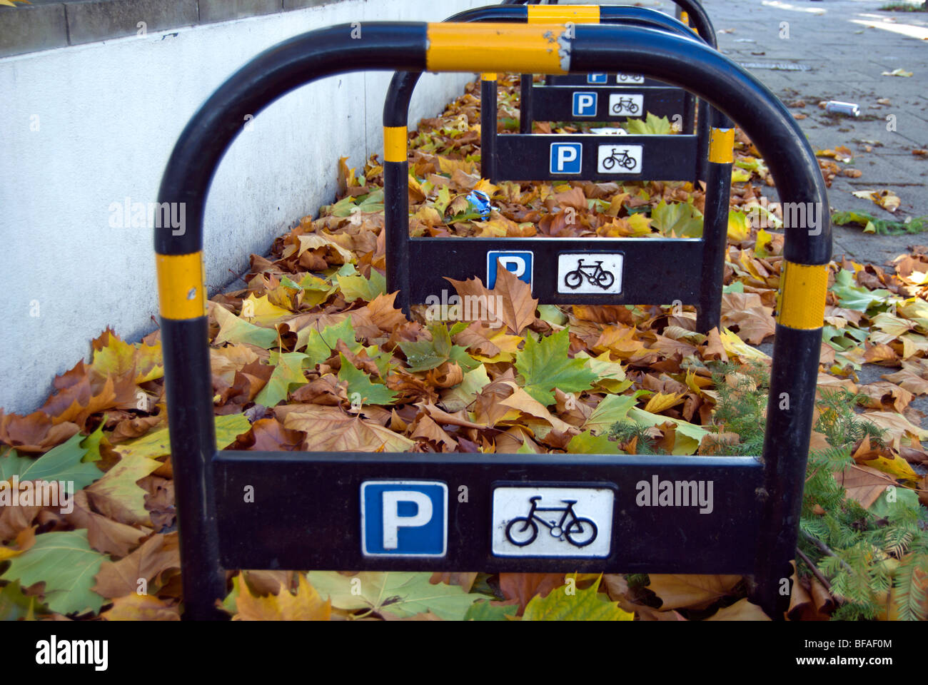 cycle stands enclosed by the fallen leaves of autumn, at the riverside ...