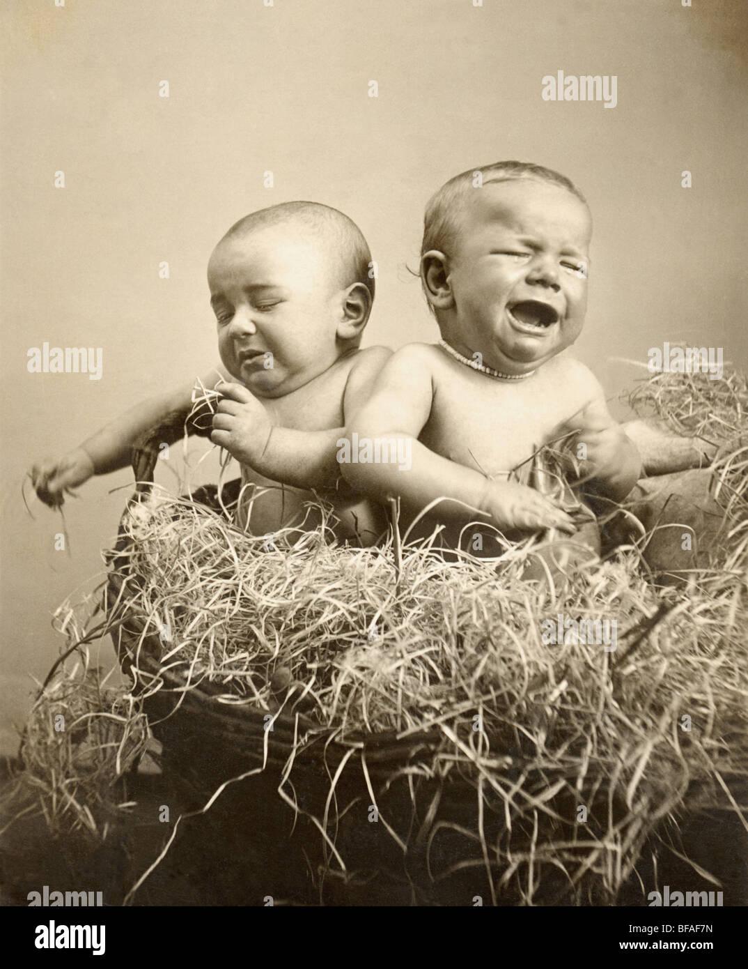 Two Bawling Infants in Bird's Nest Stock Photo - Alamy