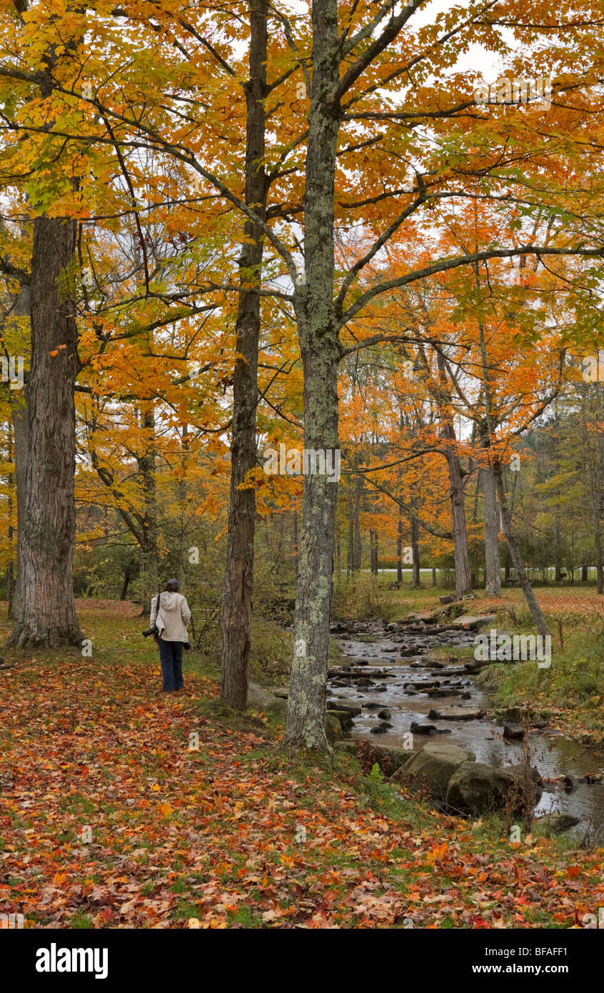 Stream of colour hi-res stock photography and images - Alamy