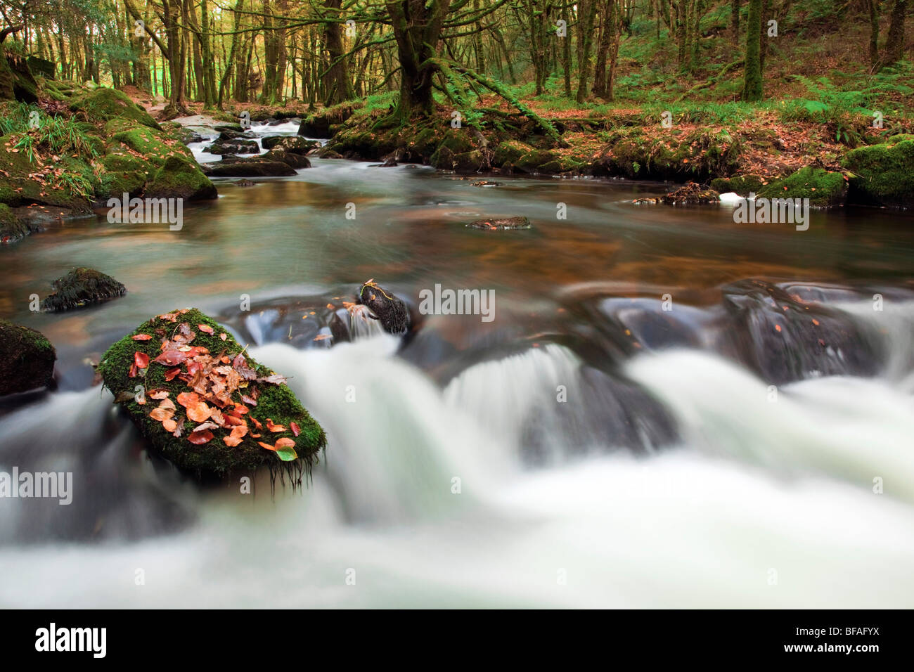 Golitha Falls and the River Fowey; Cornwall Stock Photo - Alamy