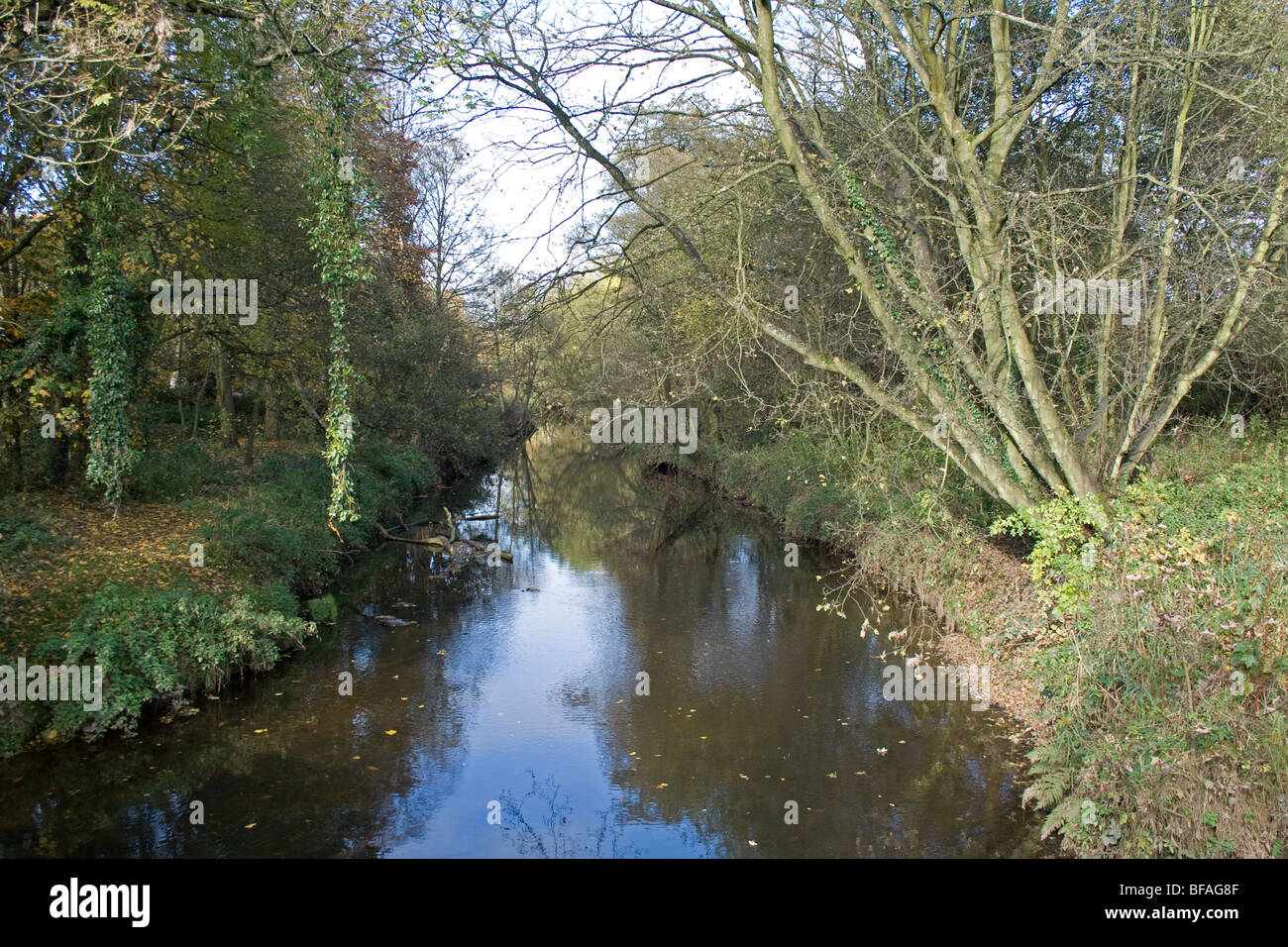 River Churnet at Cheddleton, Staffordshire Stock Photo - Alamy