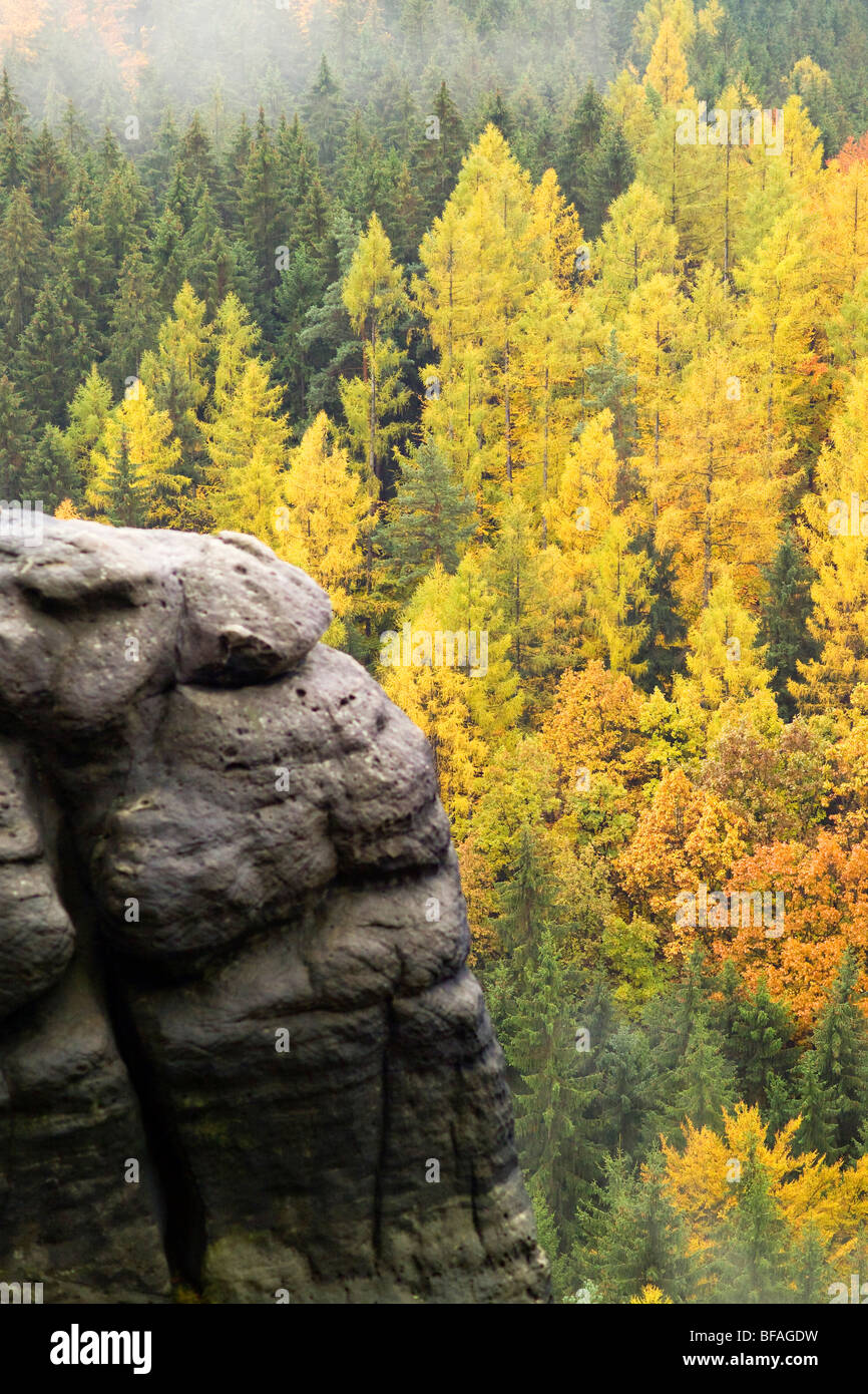 Climbing in saxon switzerland hi-res stock photography and images - Alamy
