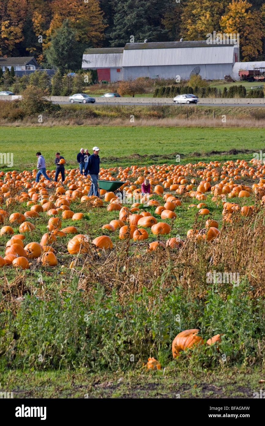 U pick hi-res stock photography and images - Alamy