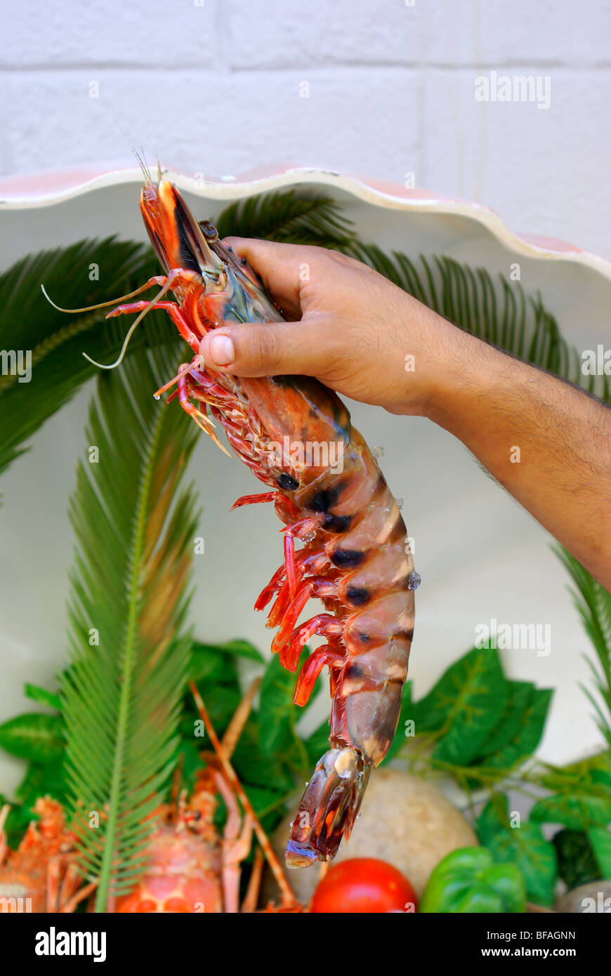 Prawn fishes hi-res stock photography and images - Alamy