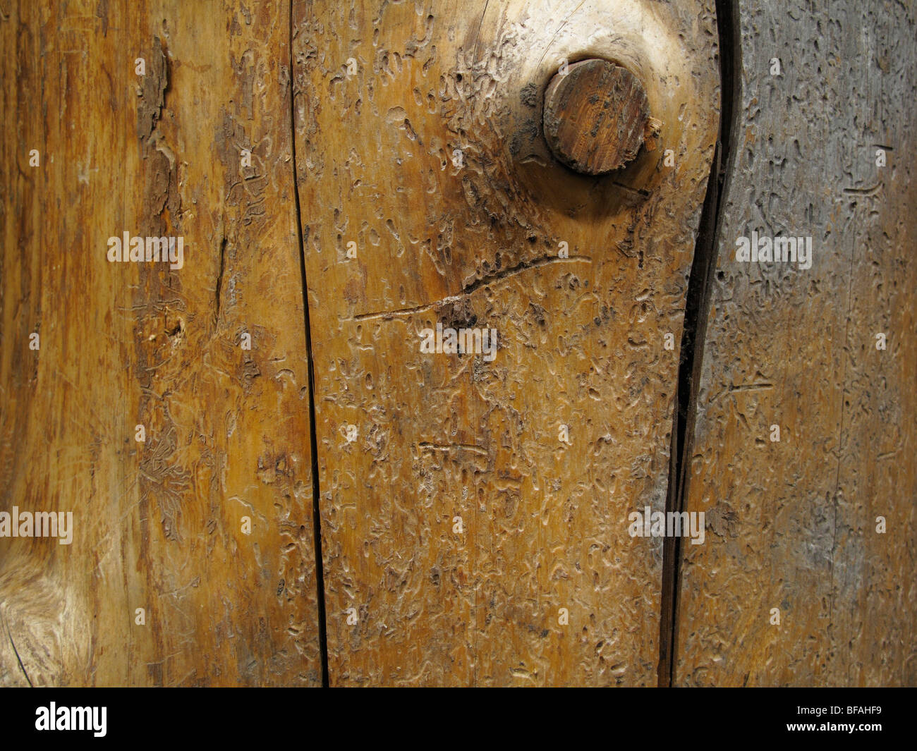 Wood fissures hi-res stock photography and images - Alamy