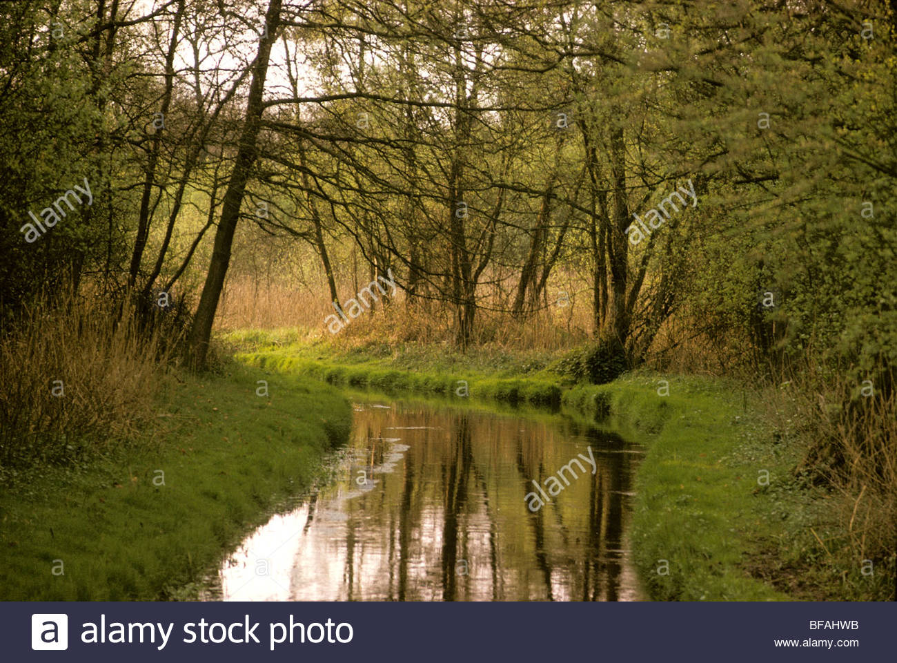 Meandering Creek Stock Photos & Meandering Creek Stock Images - Alamy