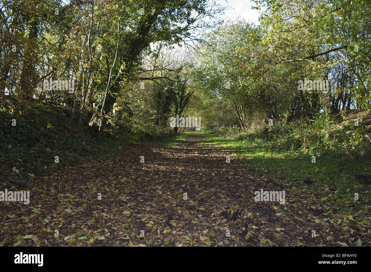 Kenilworth greenway hi-res stock photography and images - Alamy