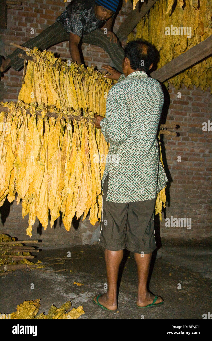 Tobacco plantation drying house in hi-res stock photography and images ...