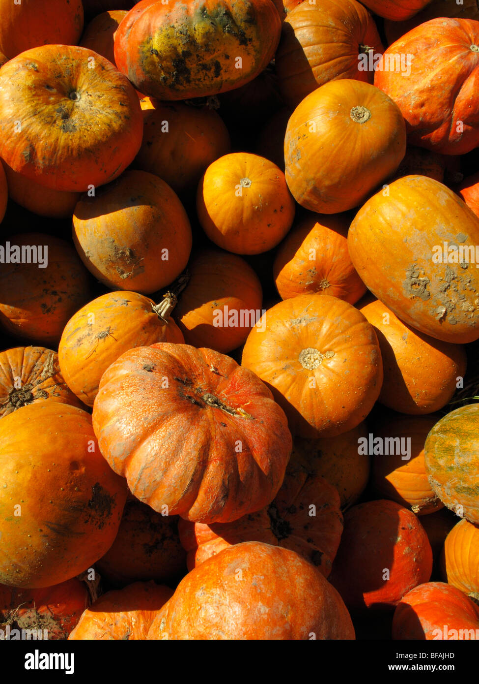 Pumkin and food hi-res stock photography and images - Alamy