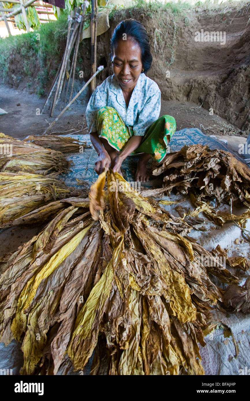 Drying kiln hi-res stock photography and images - Alamy