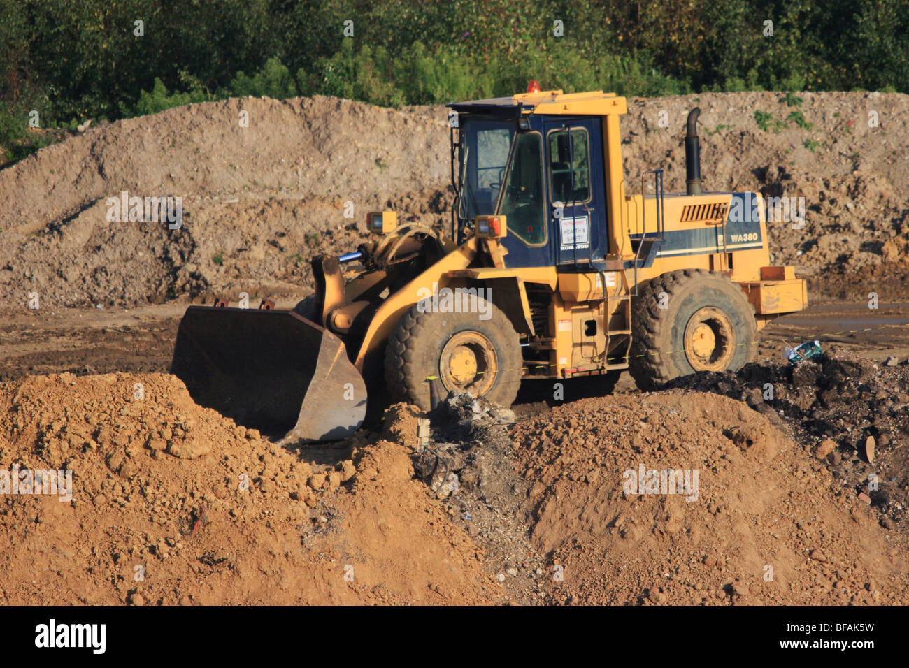 Loading plant hi-res stock photography and images - Alamy
