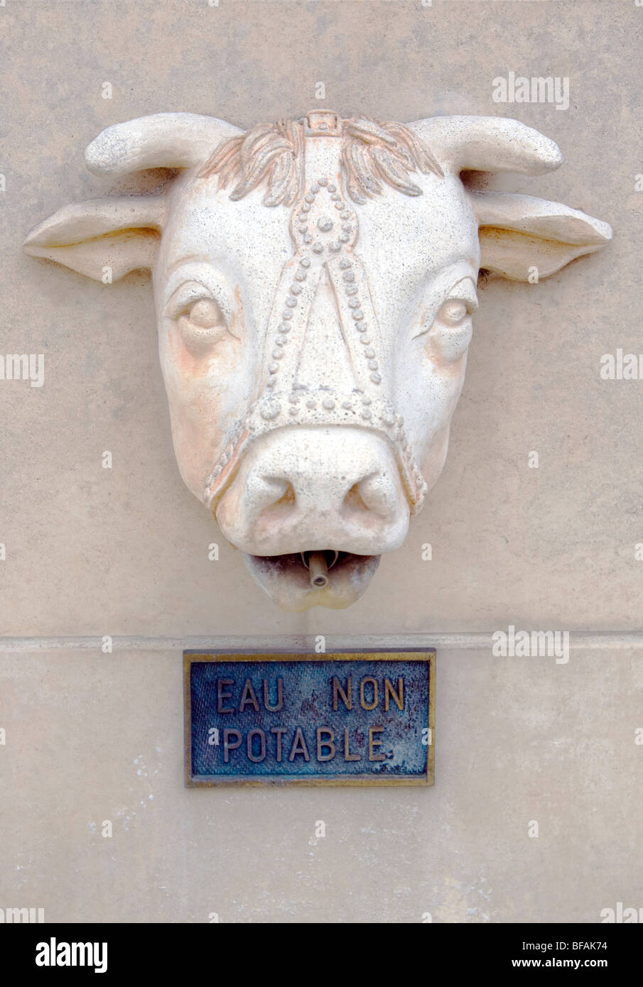Cow's Head sculpture at water-fountain - Neuvic, Southern France ...