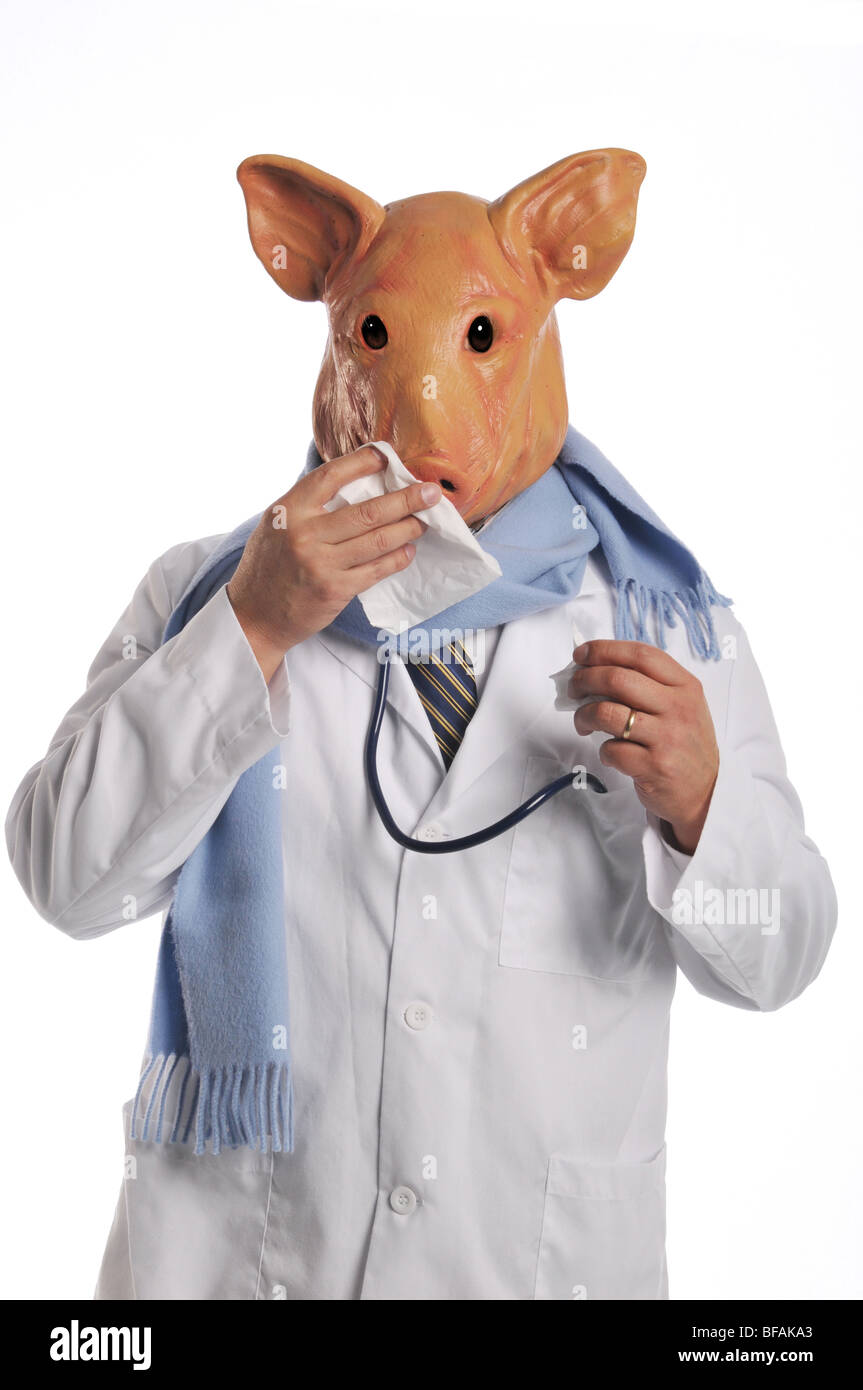 Swine Flu metaphor showing a doctor with pig's head isolated on white ...