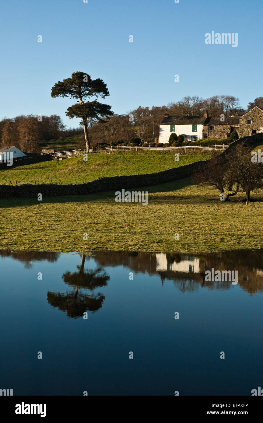 A traditional Cumbrian farmhouse with a field and pond in front Stock ...