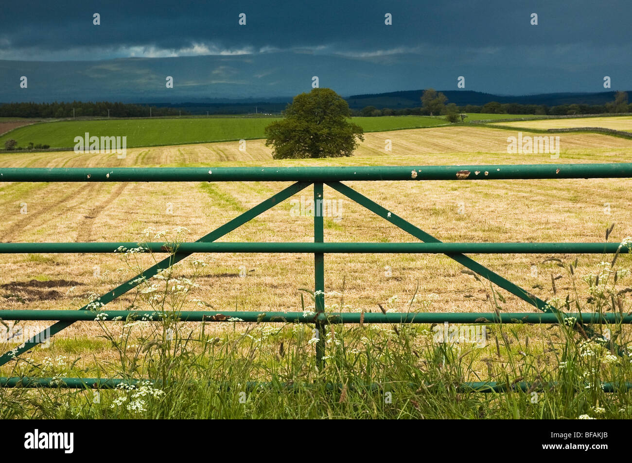 Farm gate and freshly cut fields at Askham near Penrith Stock Photo - Alamy