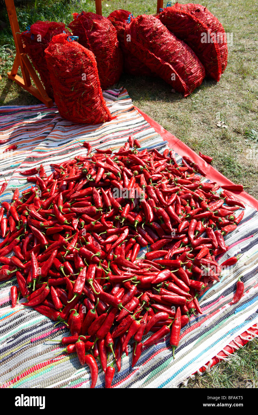 Drying chilis hi-res stock photography and images - Alamy