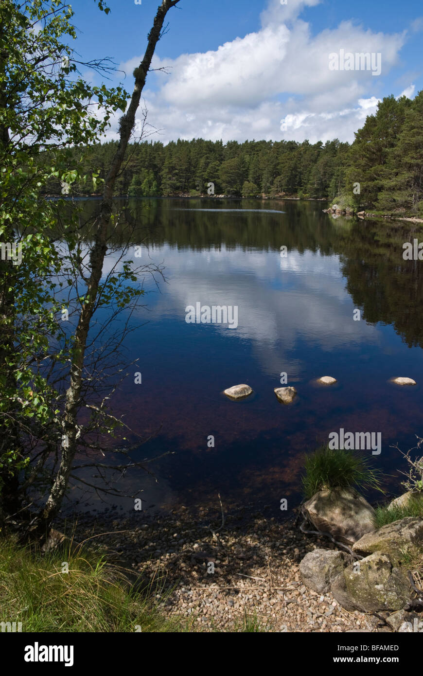 Loch garten scotland hi-res stock photography and images - Alamy