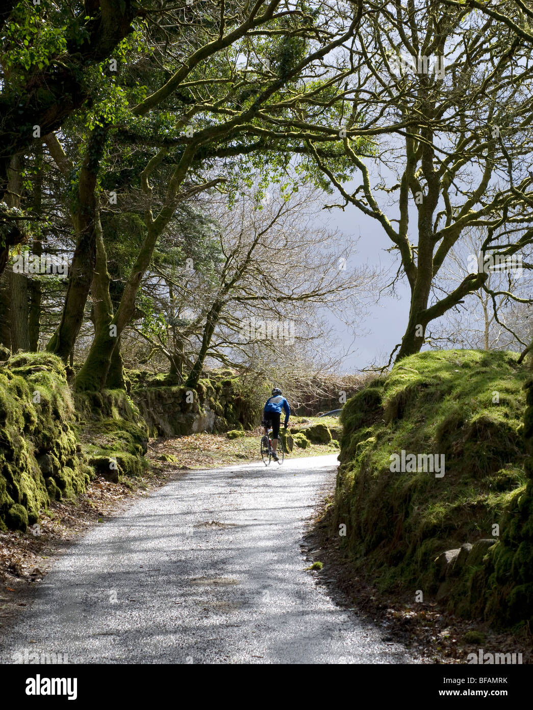 Road around burrator reservoir hi-res stock photography and images - Alamy