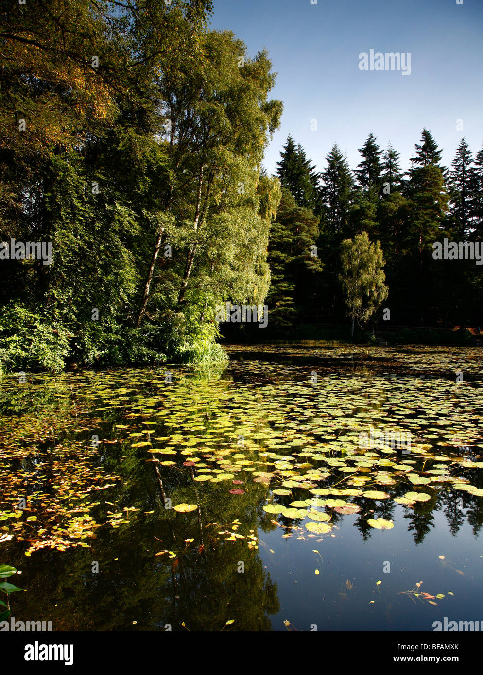 Loch dunmore hi-res stock photography and images - Alamy