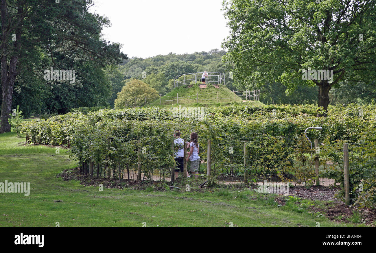 Hide and speak maze hi-res stock photography and images - Alamy